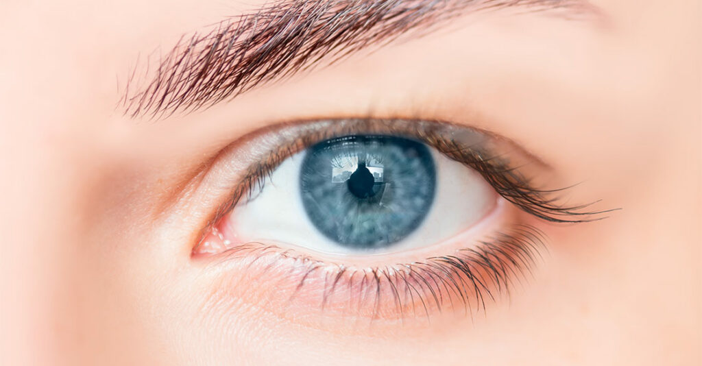 Seeing Eye To Eye Understanding How Vision Works | Blog
